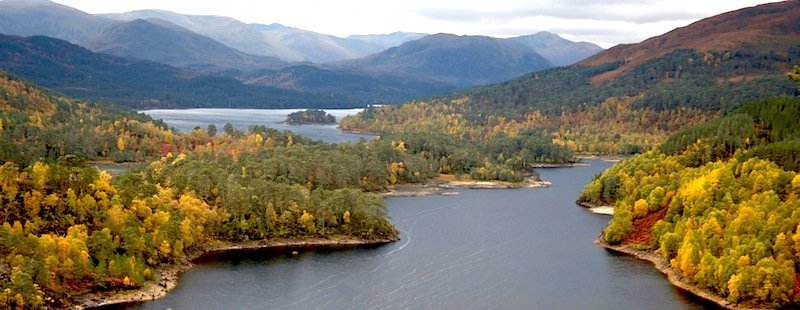 Caledonian Forest ~ Everything You Need to Know with Photos | Videos