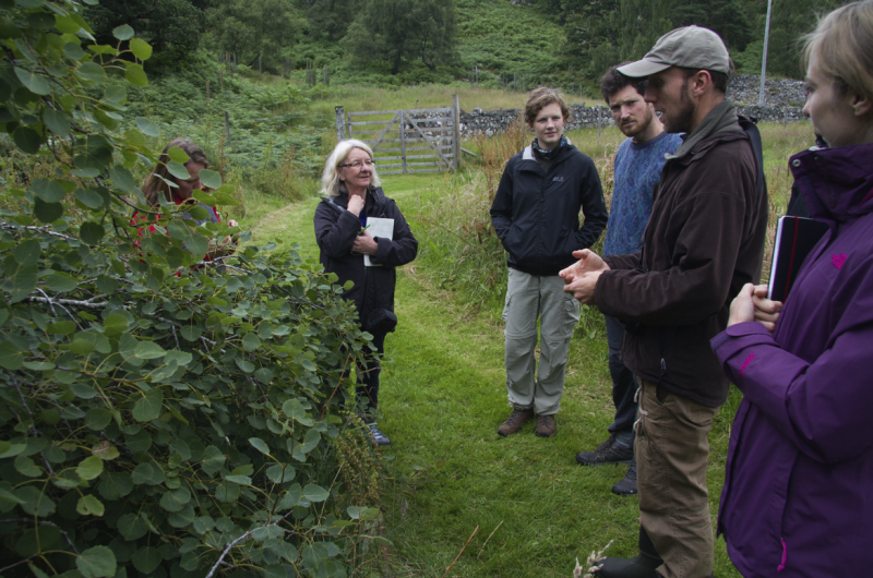 A summer of workshops at Dundreggan - Trees for Life