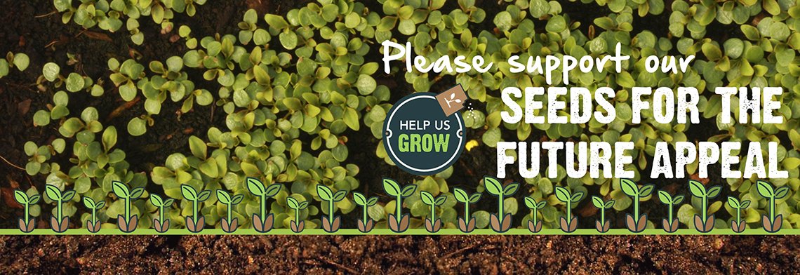 Home | Trees for Life