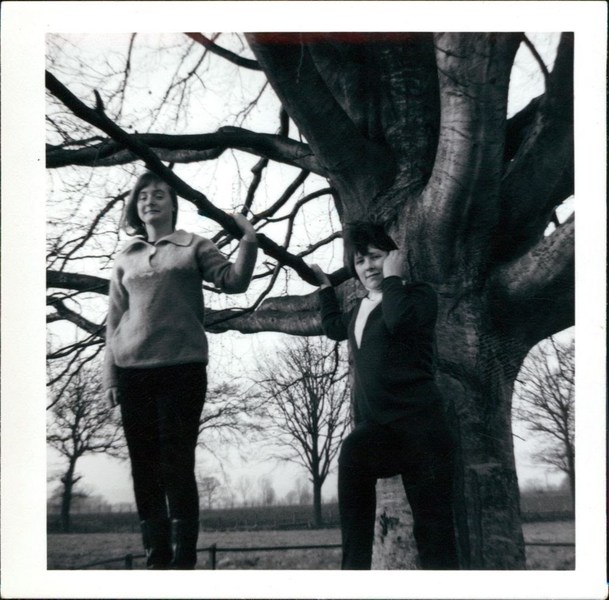 Judith Paterson - Trees for Life