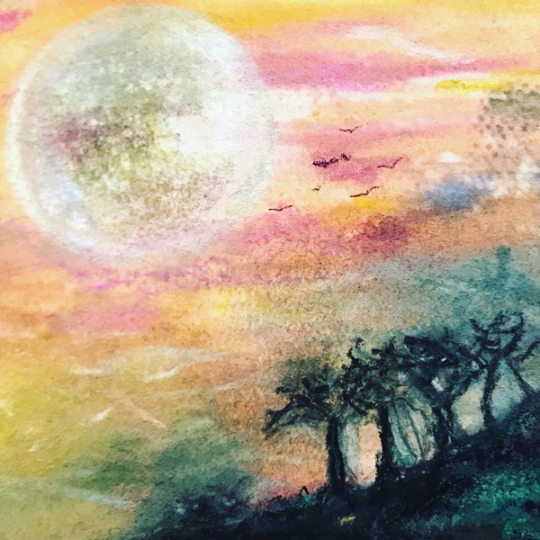 Helen Menzies - Trees for Life