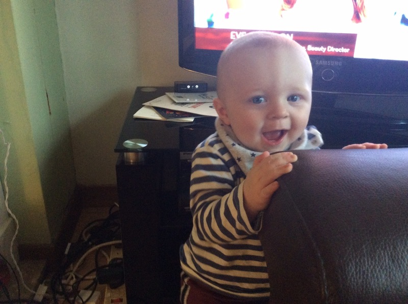 Finley Scott Gibson - Trees for Life