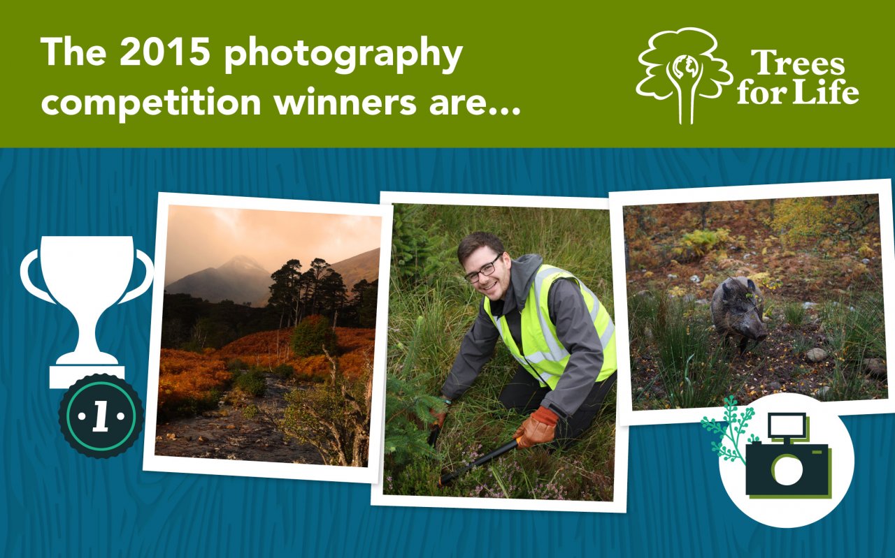 Photography Competition Winners Announced! - Trees for Life