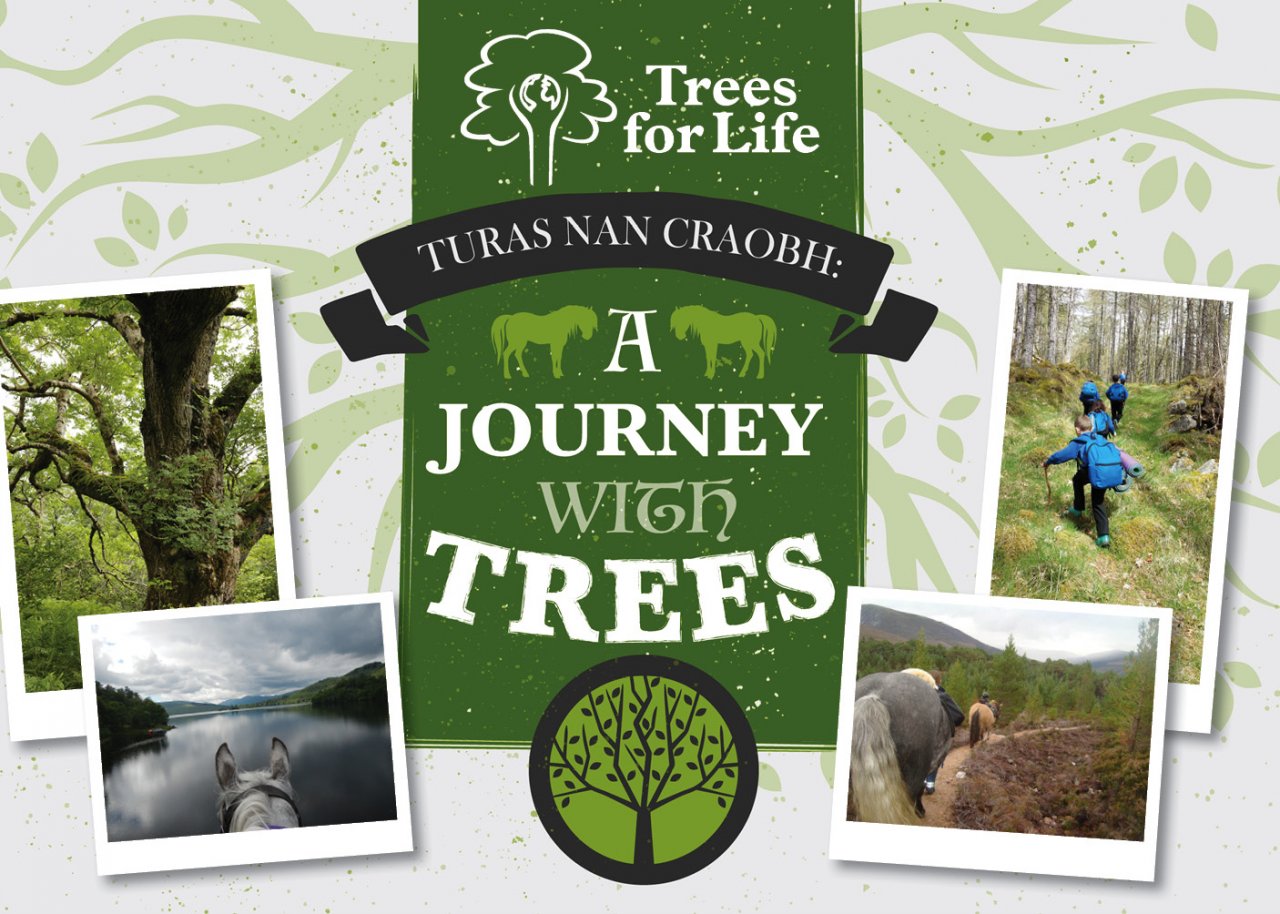 A Journey With Trees - a tree planting pony trek across the Highlands ...