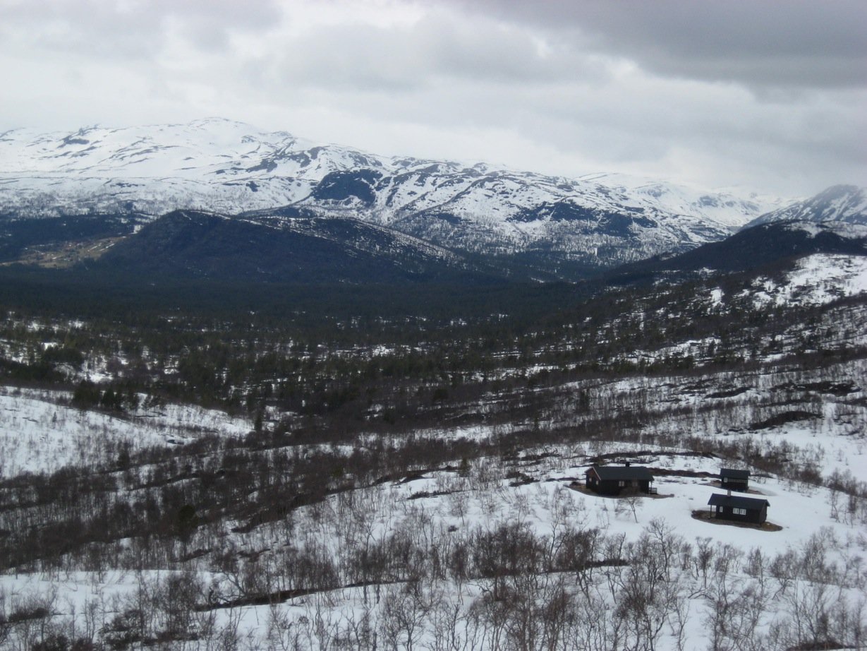 A lot to learn from Norway's land use - Trees for Life