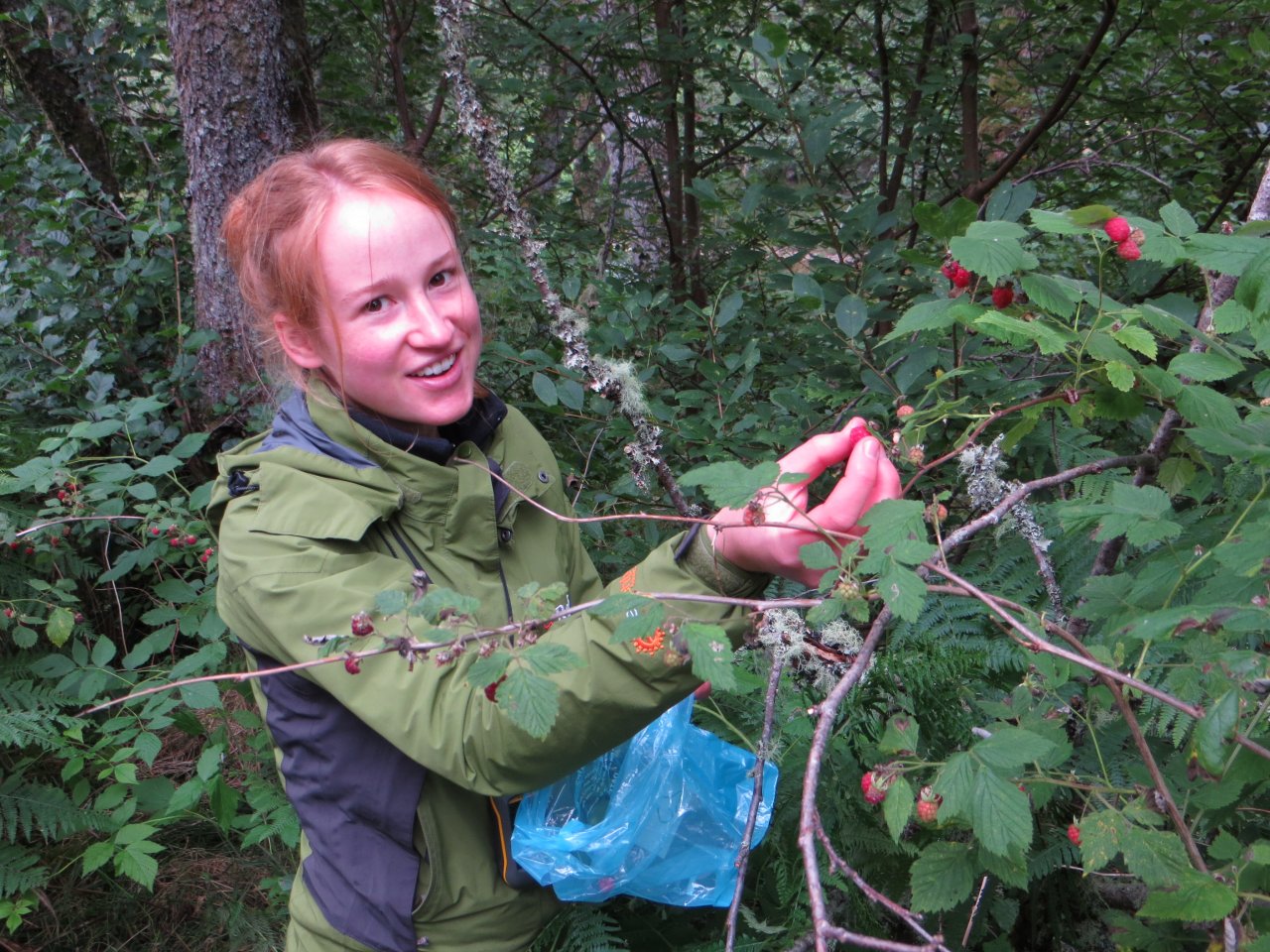 The adventure of collecting 40,000 seeds! - Trees for Life
