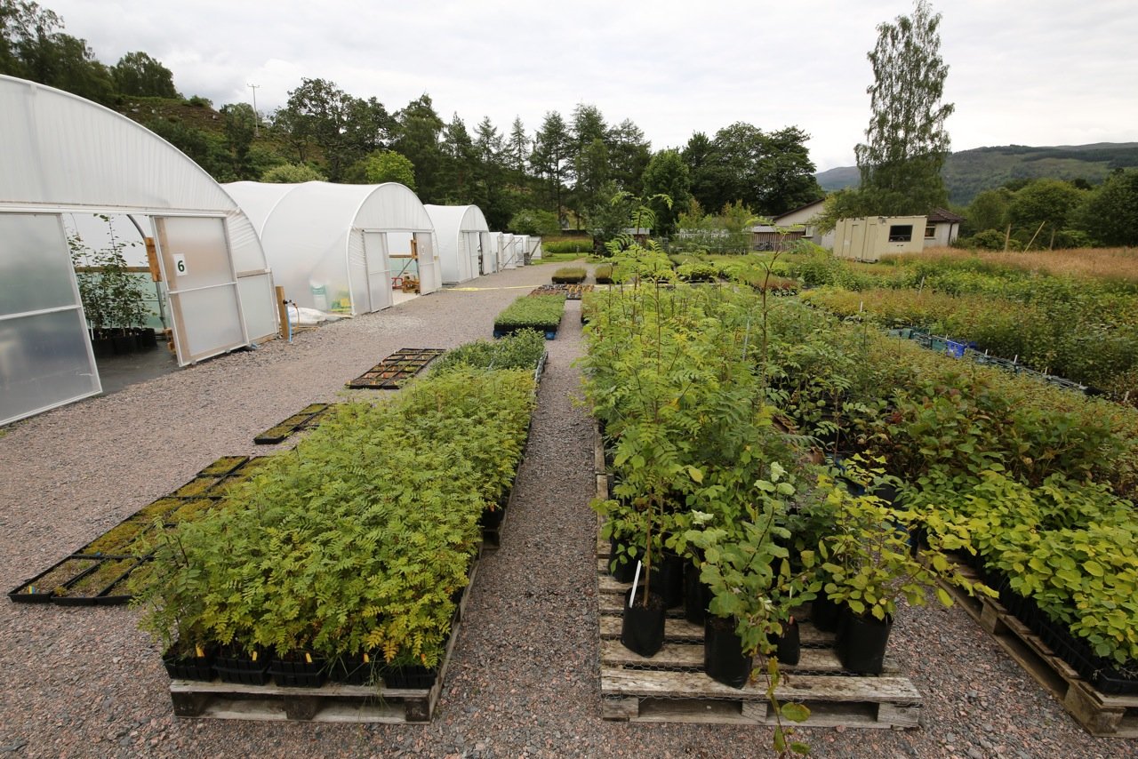 A major fundraising success for our Dundreggan Conservation Estate ...