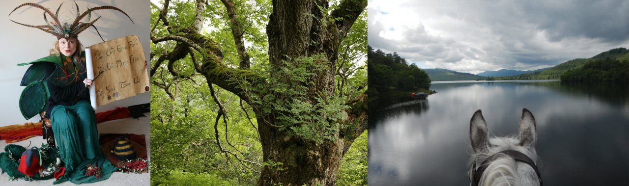 Tree-planting journey launches map exploring Scotland’s lost woods and ...