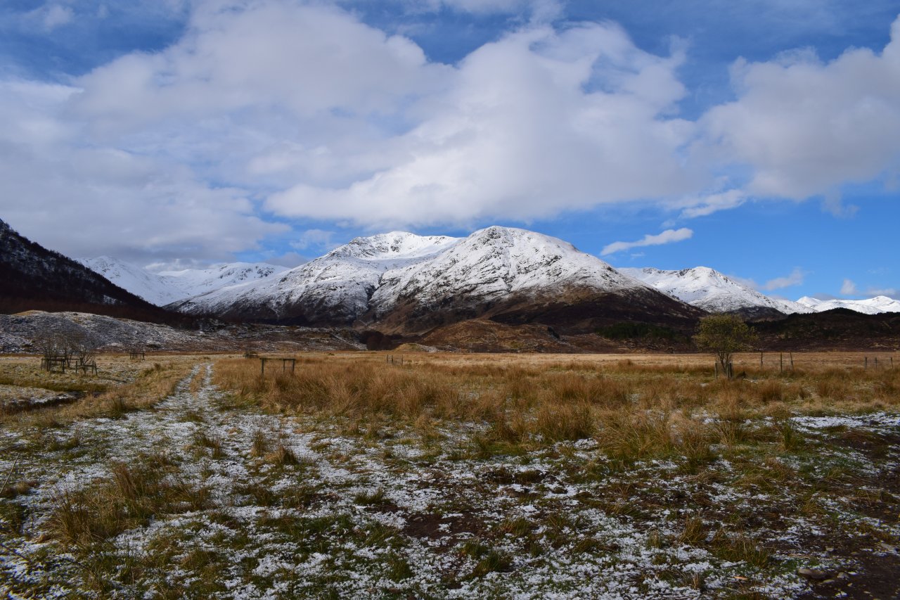 Rewilding the Highlands, rewilding the soul - Trees for Life