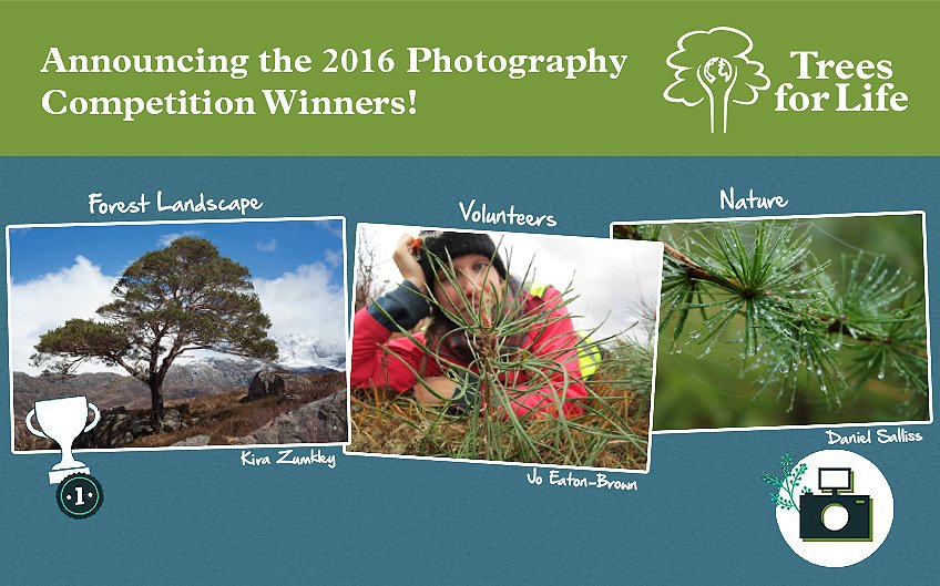 2016 Photography Competition Winners Announced! - Trees for Life