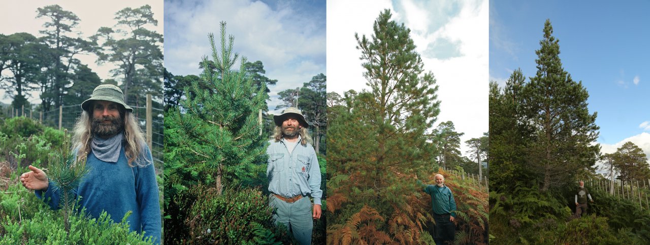 Alan Watson Featherstone - founder of Trees for Life - Trees for Life