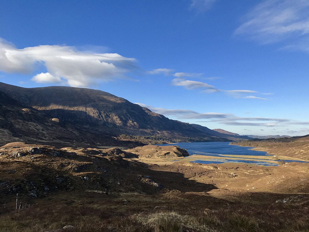 Getting Dirty With Trees For Life - Trees for Life