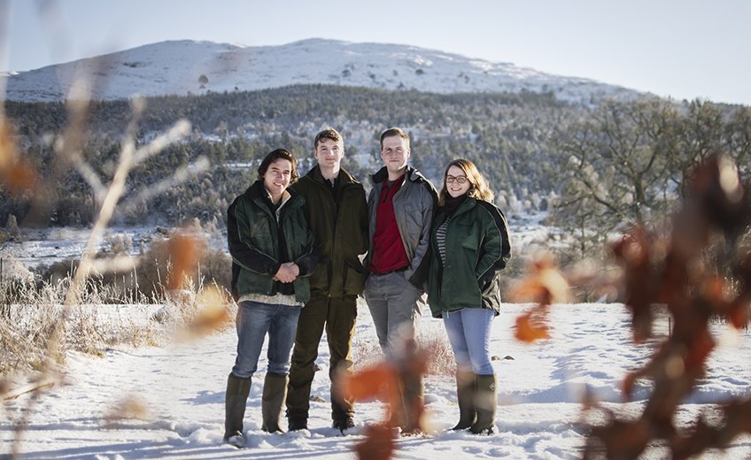 Six months of Skills for Rewilding - Trees for Life