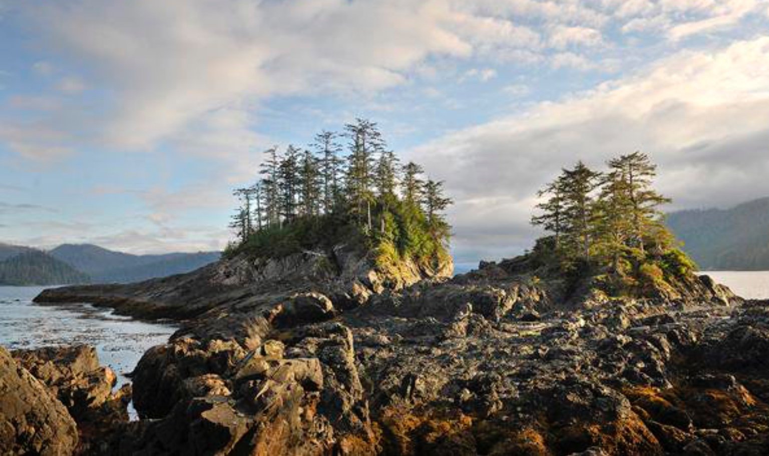 The Haida Nation - Trees for Life