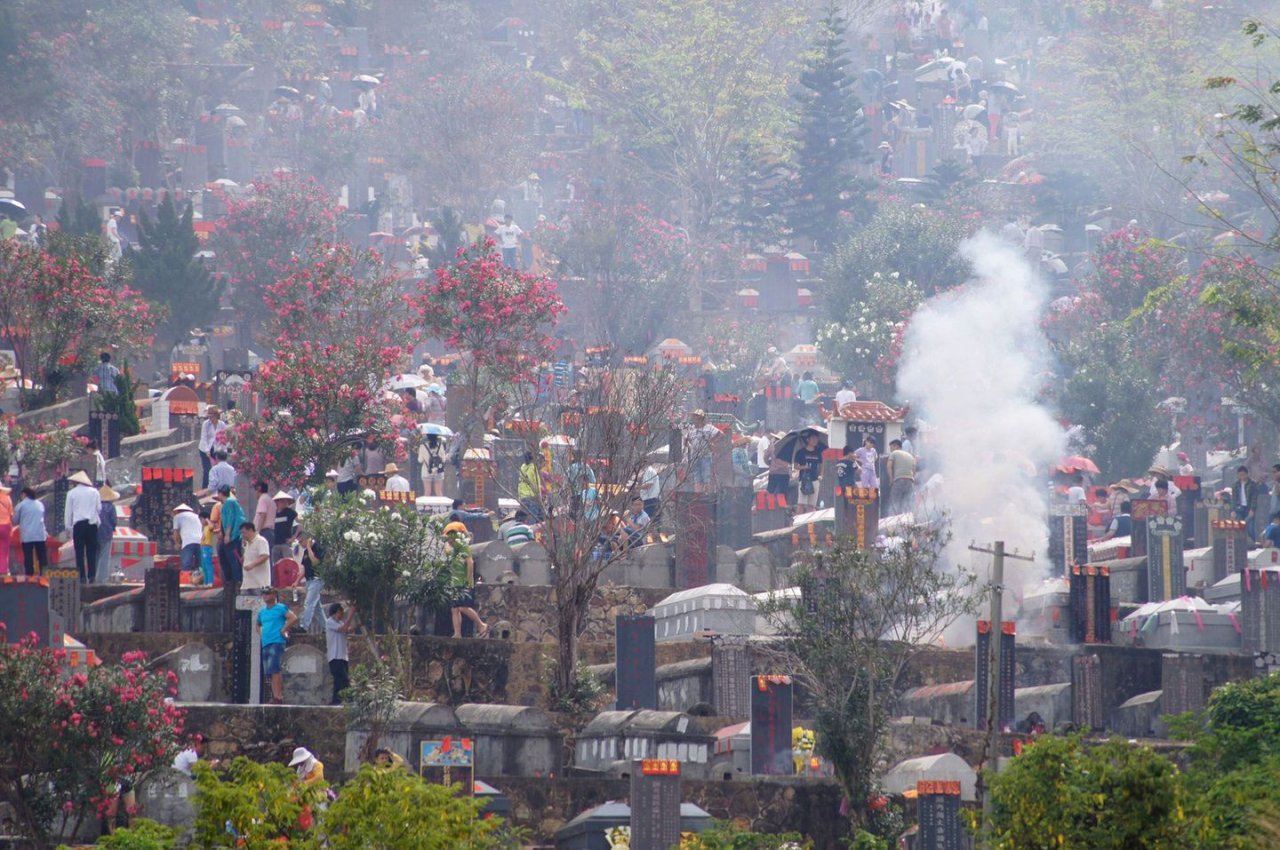 In memory of Mr Gao, for his daughter Gao Xiaoping - Trees for Life