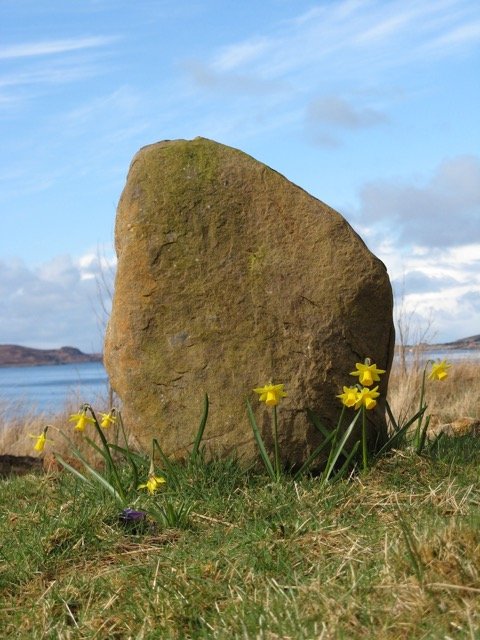 Gillian Paschkes-Bell & Andrew Rivett - Trees for Life