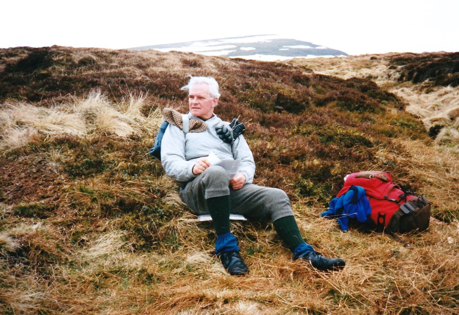 W. Angus Mitchell - Trees for Life