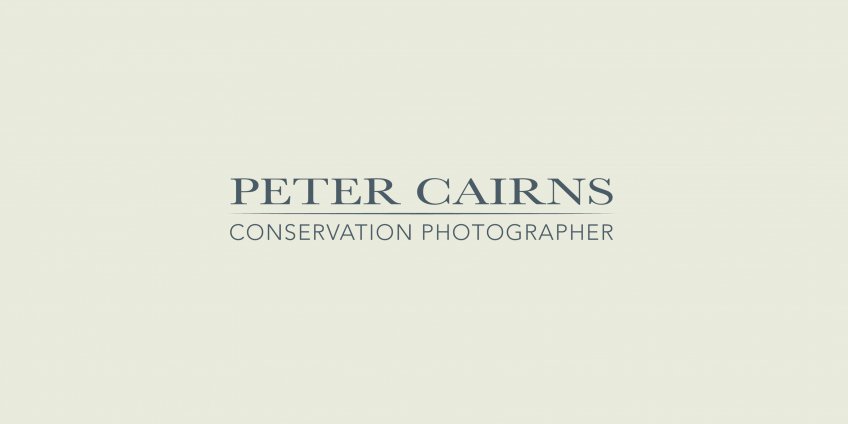 Peter Cairns Photography - Trees for Life