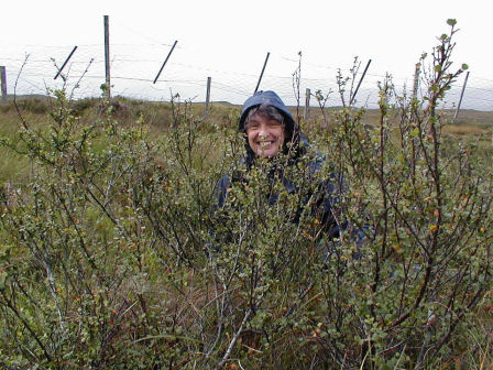 Janice Short - Trees for Life