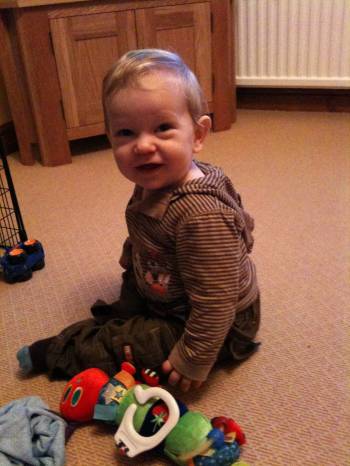 Thomas Maddison - Trees for Life