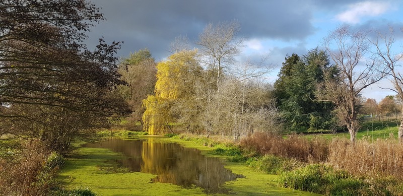 Tomasz, Stephanie, Josh & Archie - Trees for Life