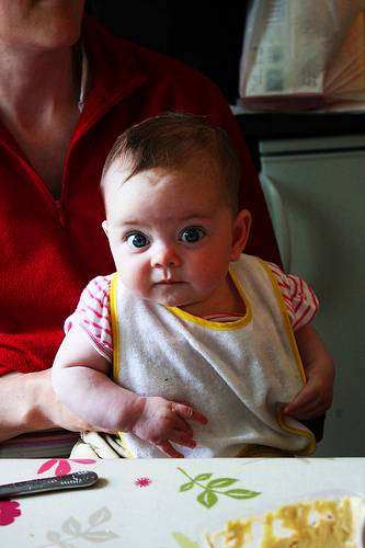 Rowan Frances Kerr McGurk - Trees for Life