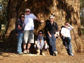 A big thank you from Alison - Trees for Life