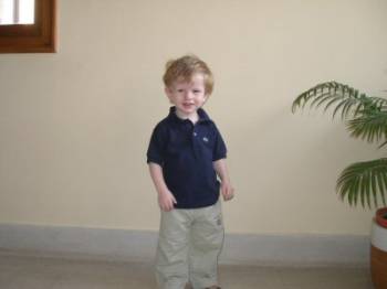 Sam McCole - Trees for Life