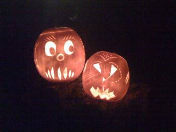 Jamie & Paul - Trees for Life