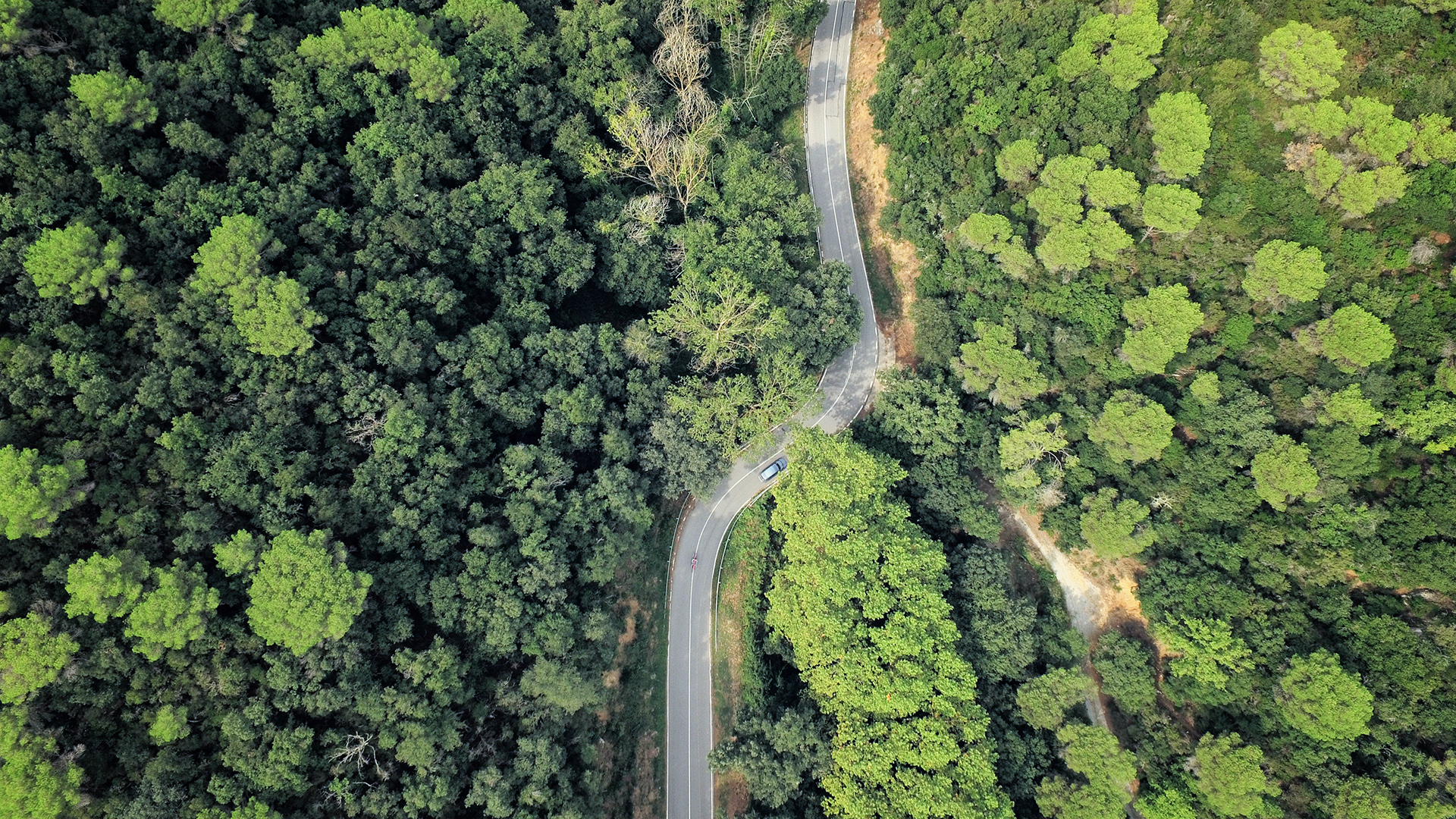 Habitat fragmentation