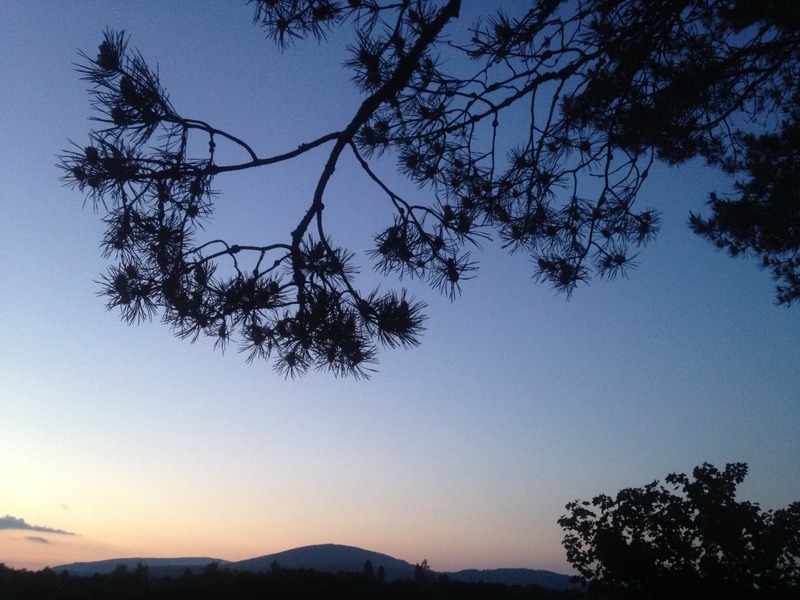 Cheryl and Gordon - Trees for Life