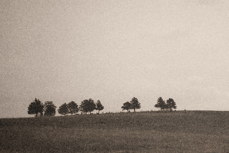 Explorers of the Corvus Folio - Trees for Life