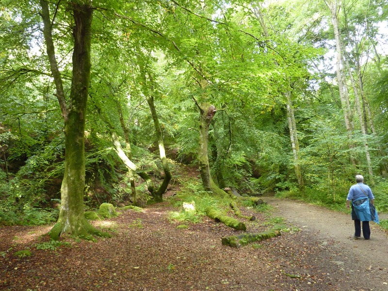 Members and Supporters of Eco-Congregation Scotland - Trees for Life