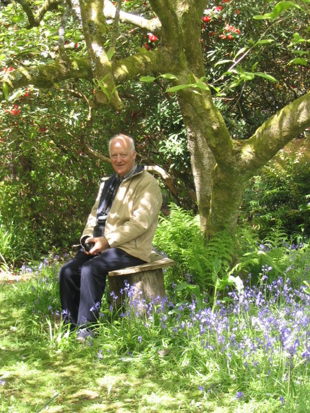 Ben Jupp - Trees for Life