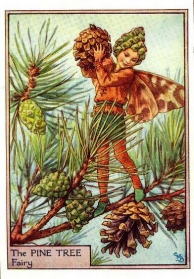 Elsie and Isabelle Hewitt - Trees for Life