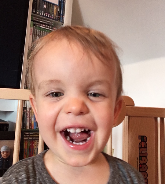 Ewan Ritchie - Trees for Life