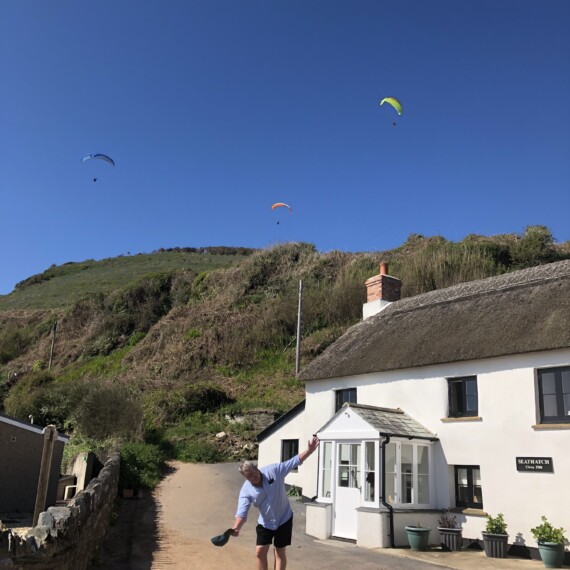 The Lawless and Beresford Family Grove - Trees for Life