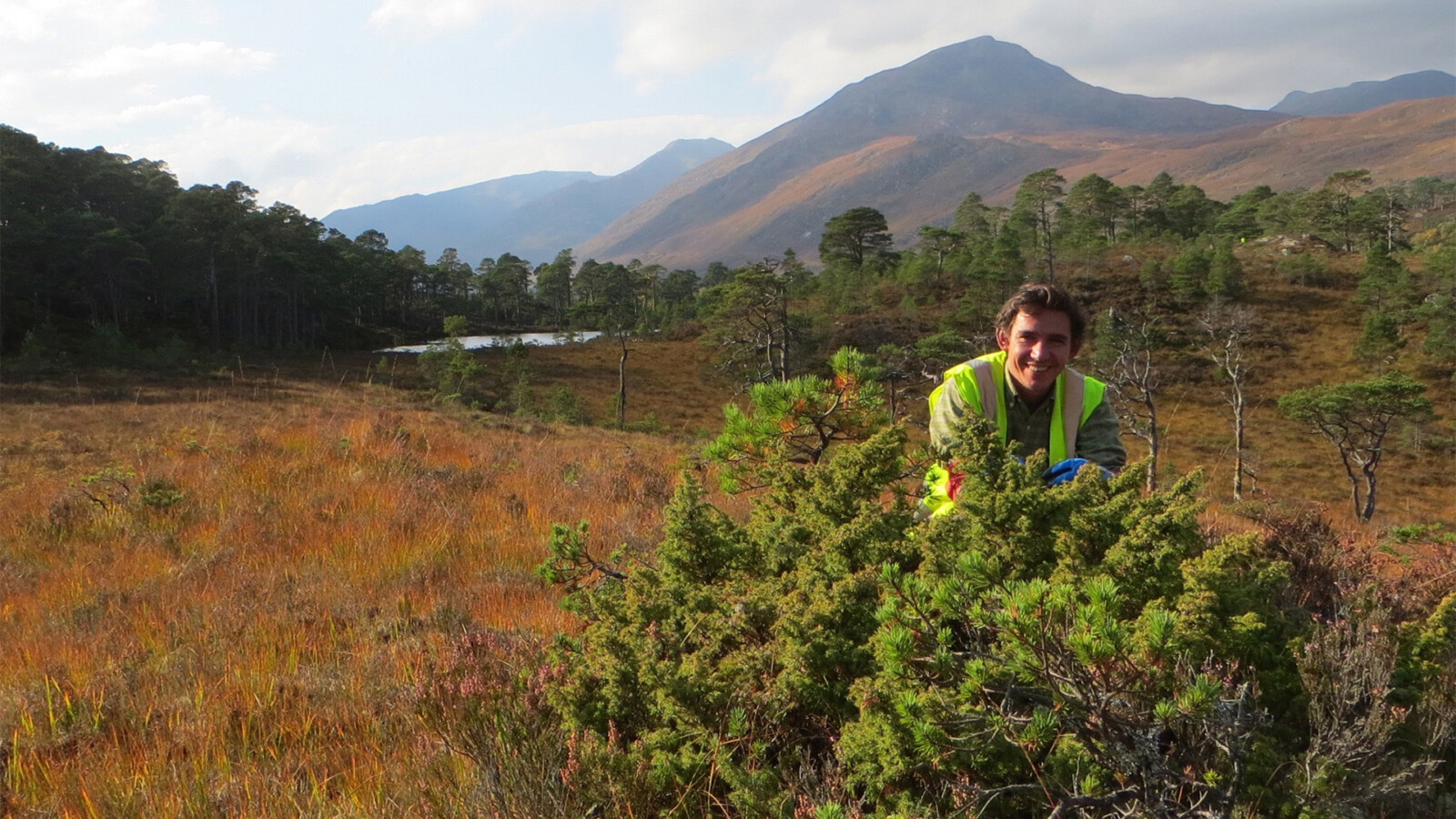 Trees for Life has collected over 1,000,000 tree seeds from the North ...