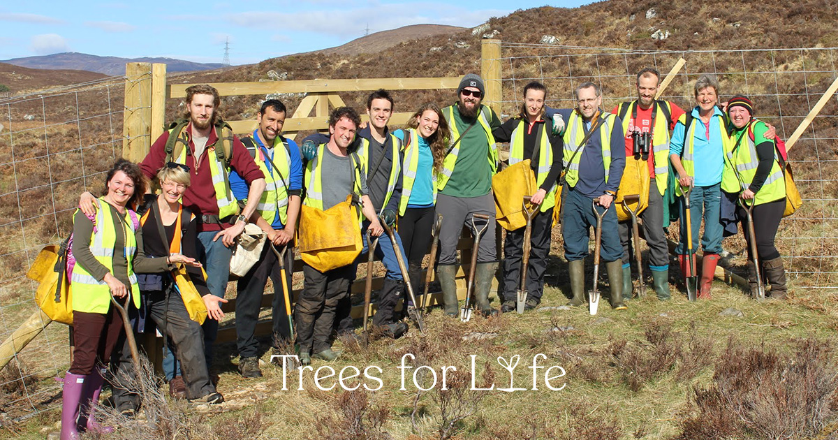 Volunteering in Scotland | Trees for Life