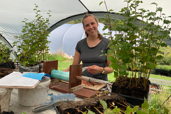 A day in the life of...Heather, Tree Nursery Horticulture Trainee ...