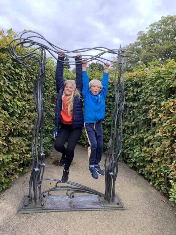 The Brett family grove - Trees for Life