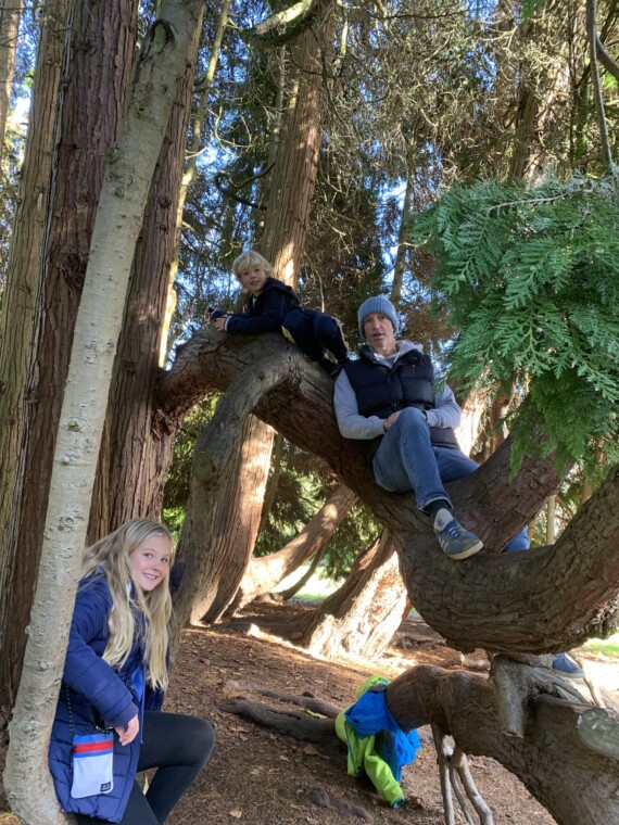 The Brett family grove - Trees for Life