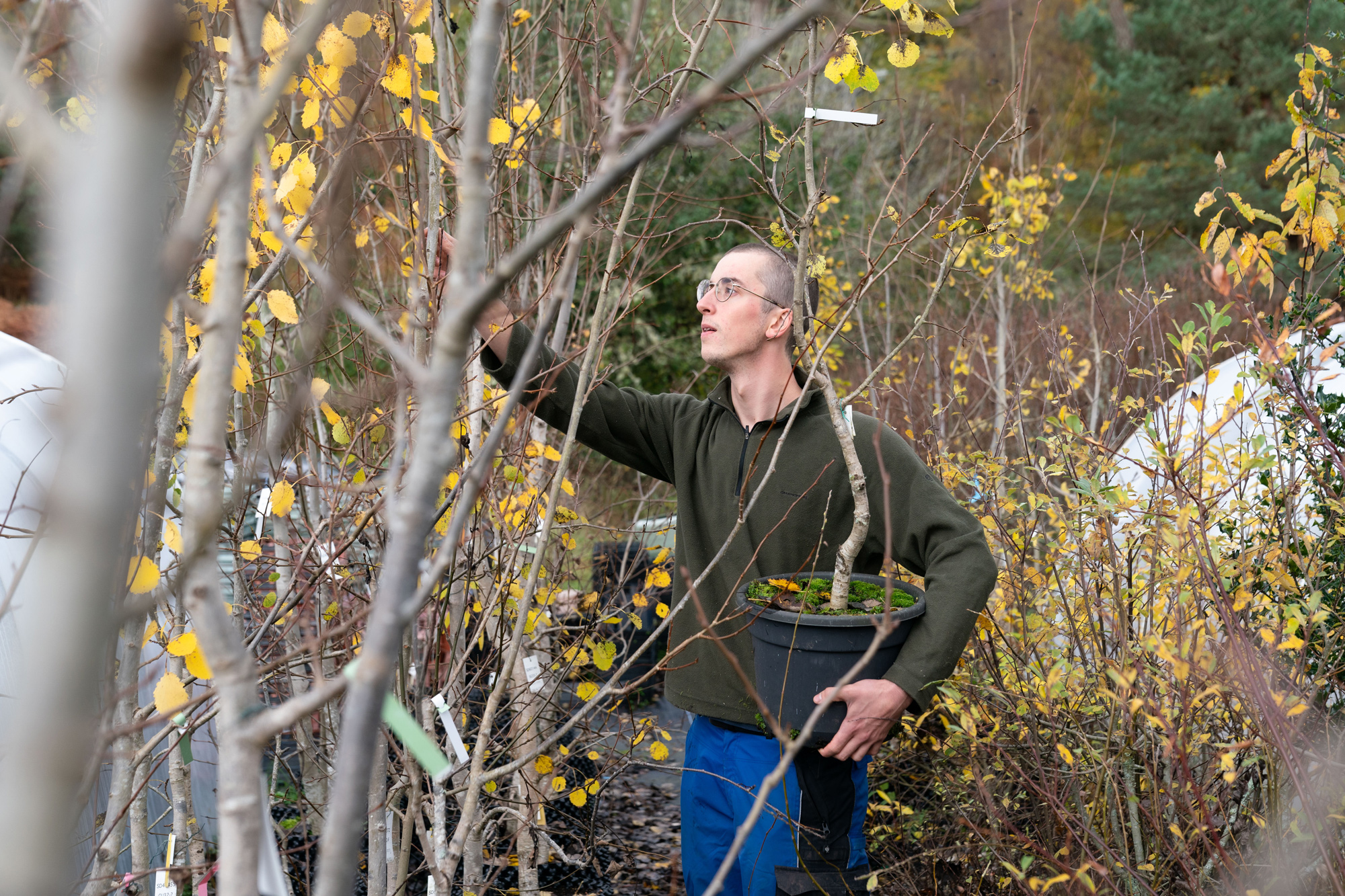 Huge appetite among Scottish young people to work in rewilding - Trees ...