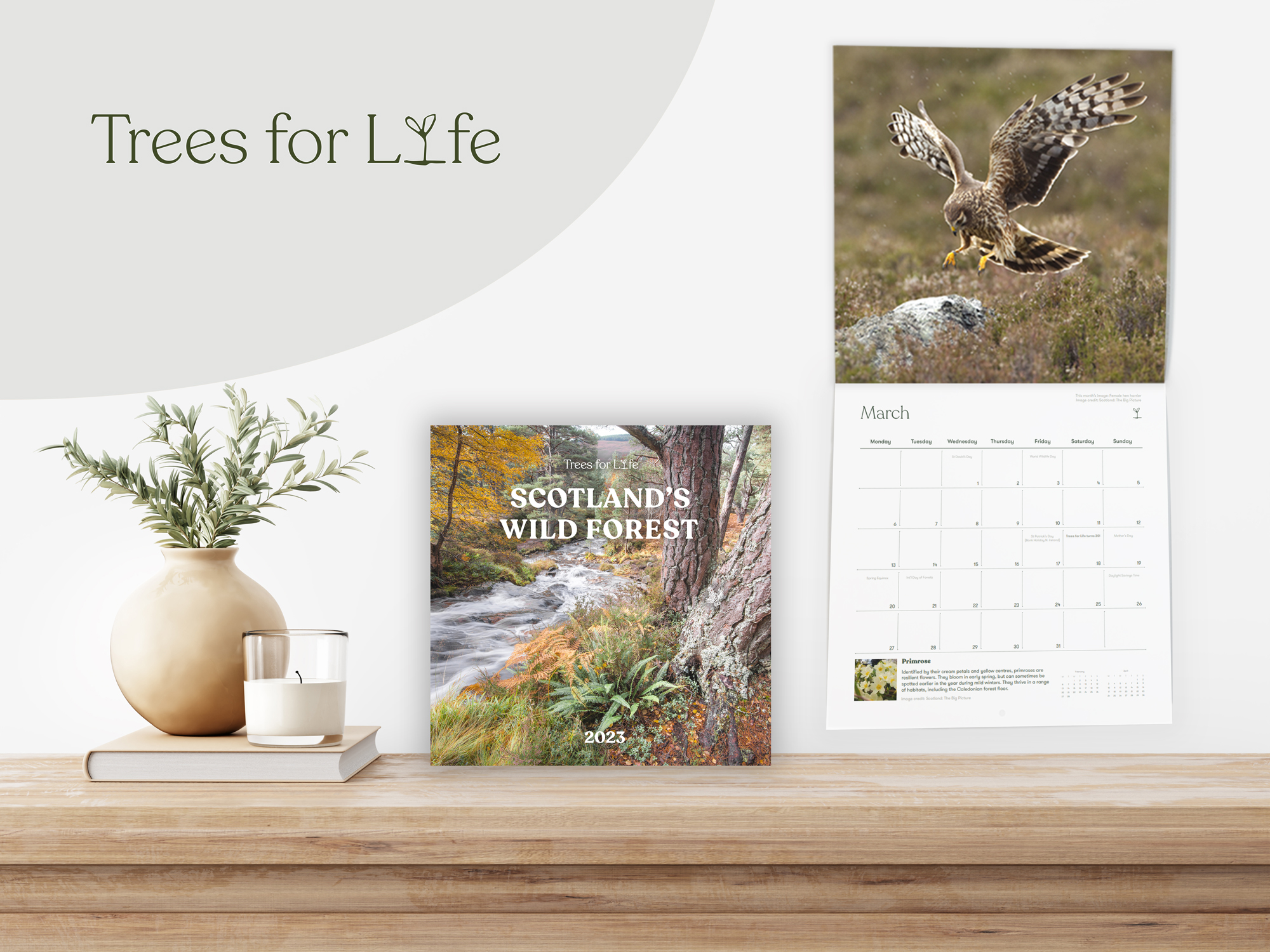 Shop | Trees for Life