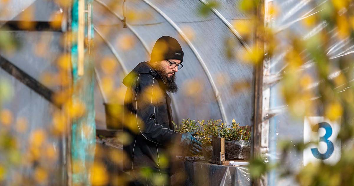 Volunteering at the Dundreggan Tree Nursery | Trees for Life