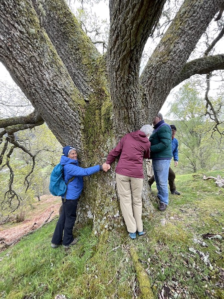 Natural Habitat Adventures in Scotland - Trees for Life
