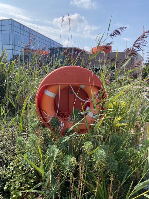 Edge Hill University Secondary English PGCE - Trees for Life