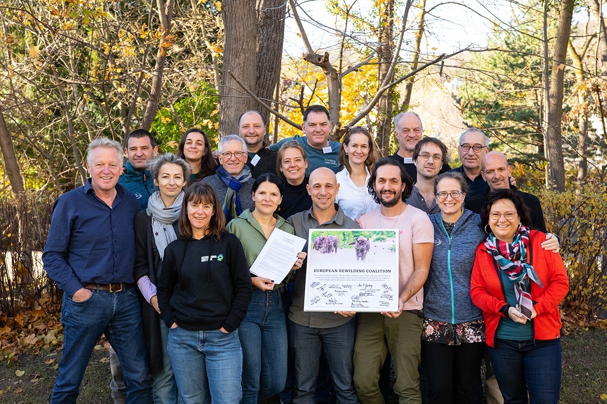 Leading organisations join forces to scale up practical rewilding ...