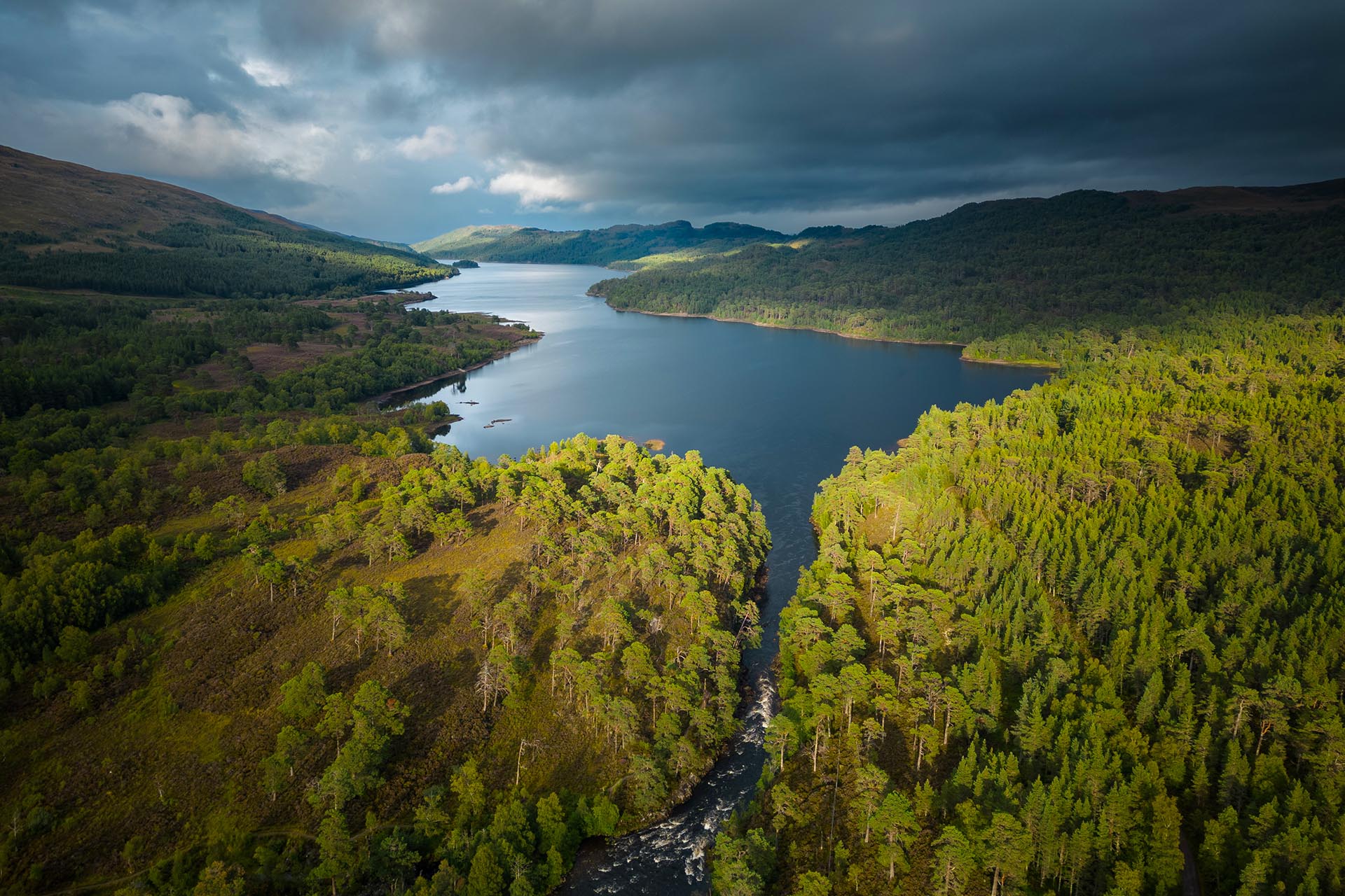 Bid for Affric & Loch Ness National Park launched - Trees for Life