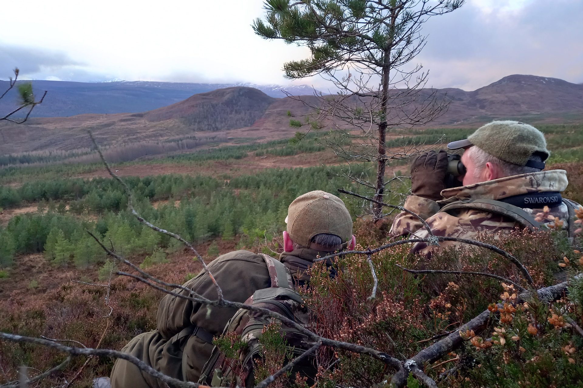 Introducing Gwen Raes: Dundreggan's new estate manager nurtures ...